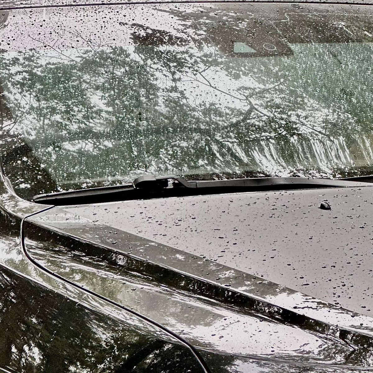 WindshieldWipers.com: The best place to buy wiper blades online.